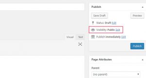 How to Make Posts or Pages Private in WordPress - Qode Magazine