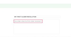 A Beginners Guide to The Slider Revolution Plugin - Qode Magazine