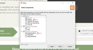 How to Install WordPress on Windows With XAMPP - Qode Interactive
