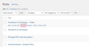 How to Duplicate a Page in WordPress - Qode Interactive