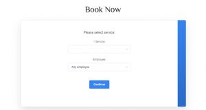 A Guide to the Amelia Booking Plugin for WordPress - Qode Interactive