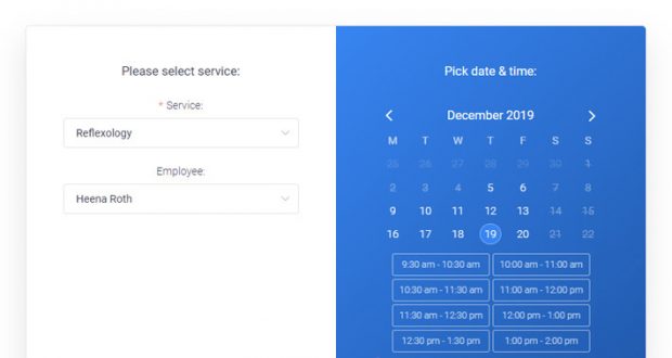 A Guide to the Amelia Booking Plugin for WordPress - Qode Interactive