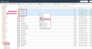 How to Set File and Folder Permissions in WordPress - Qode Interactive
