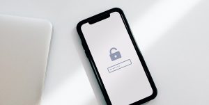 How to Reset a WordPress Password From the Database - Qode Interactive