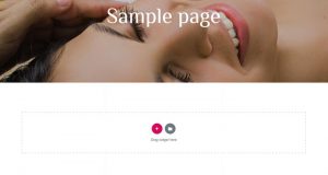An Elementor Tutorial for Beginners - Qode Interactive