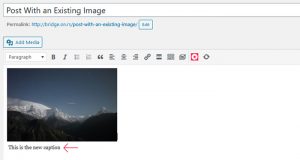 How to Create WordPress Image Caption - Qode Interactive