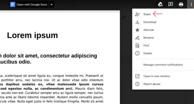 How to Embed Word Document in WordPress - Qode Interactive