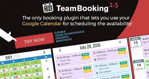 8 Best WordPress Booking Plugins - Qode Interactive