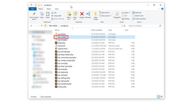 How to Reinstall WordPress - Qode Interactive