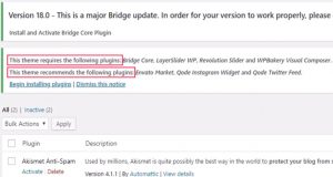 10 Things to Do After Installing Bridge - Qode Interactive