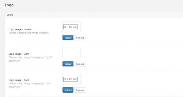 10 Things to Do After Installing Bridge - Qode Interactive
