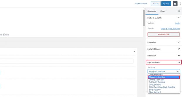 How to Display Posts on Page in WordPress - Qode Interactive