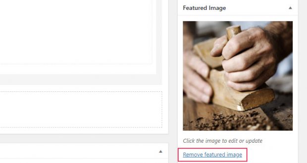 How to Add Featured Image in WordPress - Qode Interactive