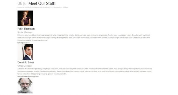 How to Create a WordPress Staff List - Qode Interactive
