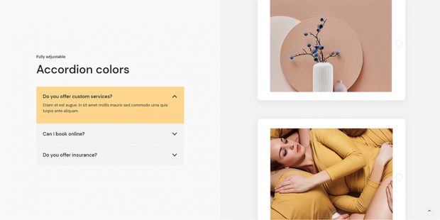 8 Best WordPress Accordion Plugins - Qode Interactive