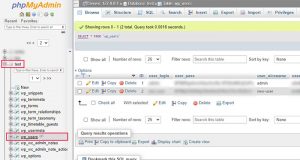 Reset WordPress Admin Password on Localhost - Qode Interactive