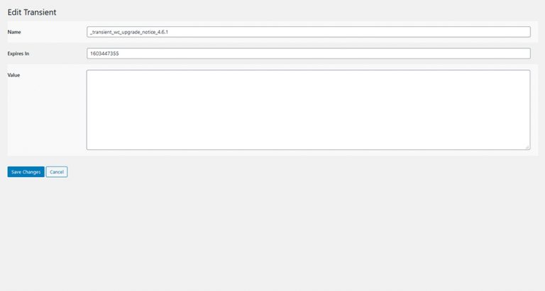 What Are WordPress Transients and How to Manage Them - Qode Interactive
