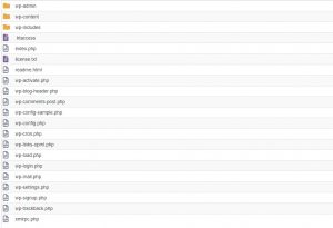 Understanding the WordPress File Structure - Qode Interactive