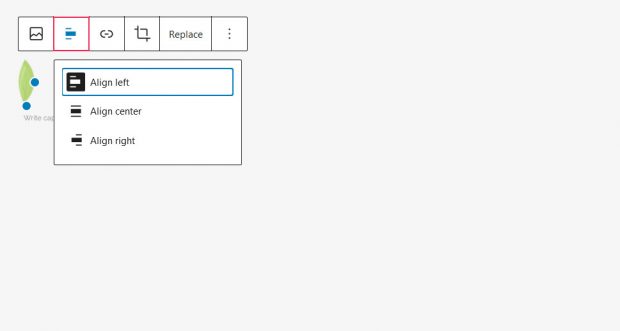 7 Most Common Image Issues in WordPress and How to Fix Them - Qode ...