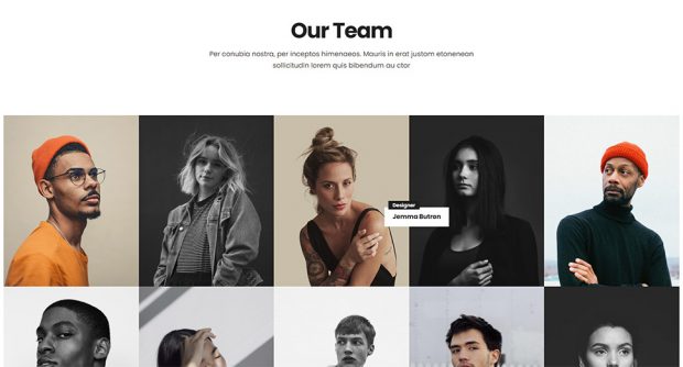 Create a WordPress Custom Page Template - Qode Interactive