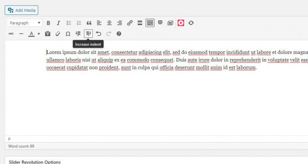 How to Indent Paragraphs in WordPress - Qode Interactive