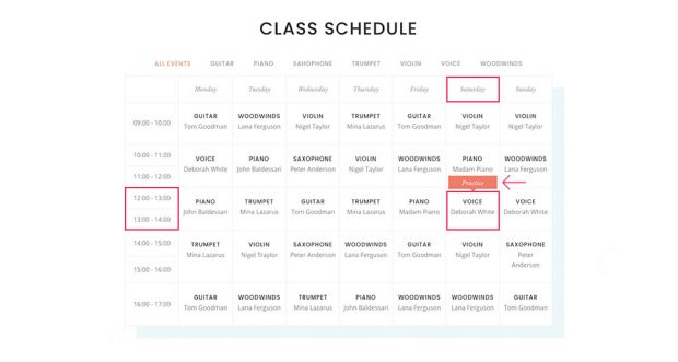 A Guide to Timetable Responsive Schedule for WordPress - Qode Interactive
