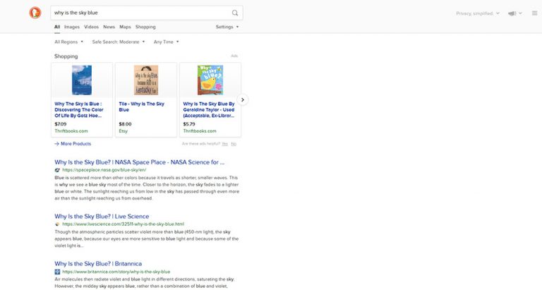 8 Best Alternatives to Google in 2024 - Qode Interactive