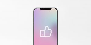How to Create a Review Website Using WordPress - Qode Interactive