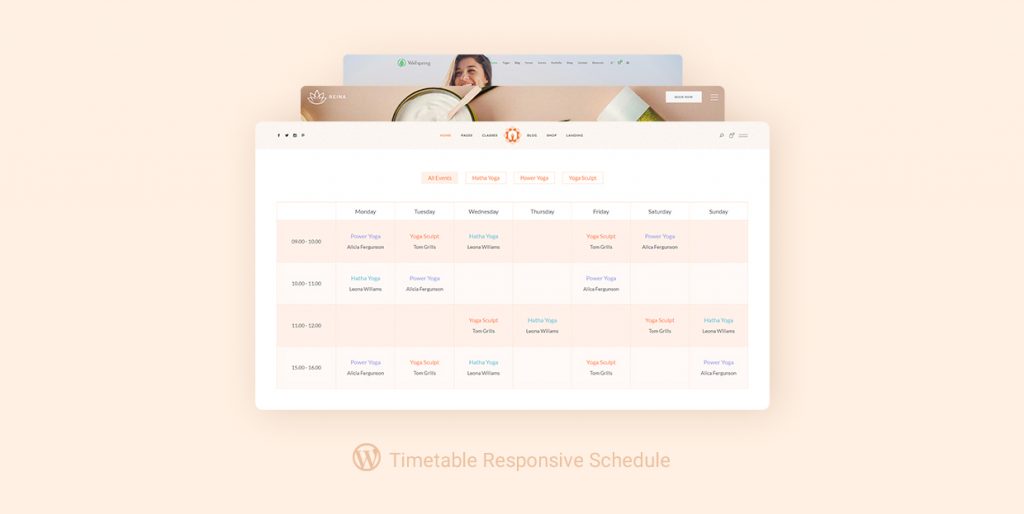 A Guide to Timetable Responsive Schedule for WordPress - Qode Interactive