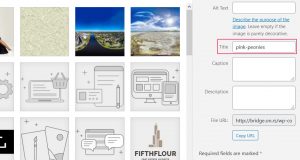 How to Optimize WordPress Images for Search Engines - Qode Interactive