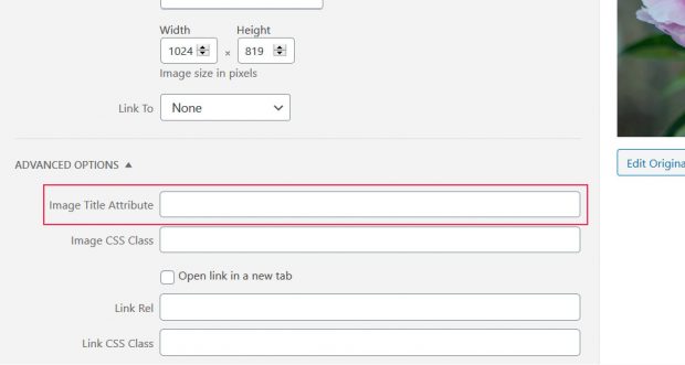 How to Optimize WordPress Images for Search Engines - Qode Interactive