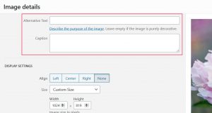 How to Optimize WordPress Images for Search Engines - Qode Interactive