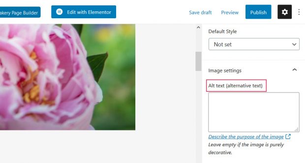 How to Optimize WordPress Images for Search Engines - Qode Interactive