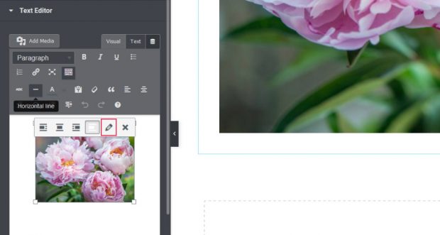 How to Optimize WordPress Images for Search Engines - Qode Interactive