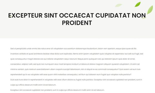 How To Add A Line Break Or Single Line Spacing In Wordpress Qode