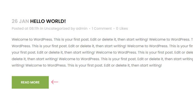How to Add the Read More Tag in WordPress - Qode Interactive