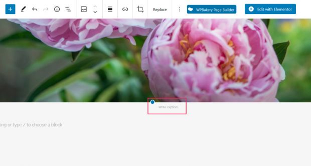 How to Optimize WordPress Images for Search Engines - Qode Interactive