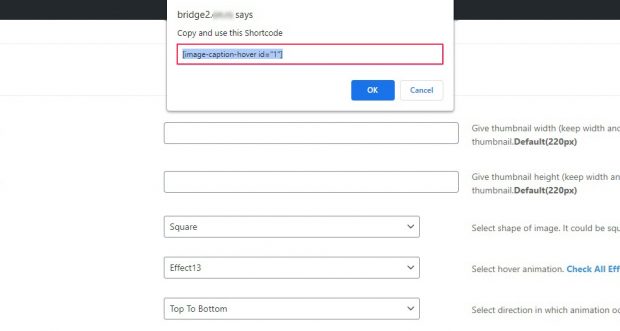 How to Add Image Hover Effects in WordPress - Qode Interactive