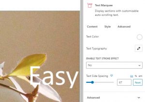 How to Create Marquee Text in WordPress - Qode Interactive