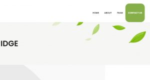 How to Add a Button to the Header in WordPress - Qode Interactive