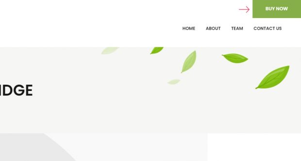 How To Add A Button To The Header In Wordpress Qode Interactive