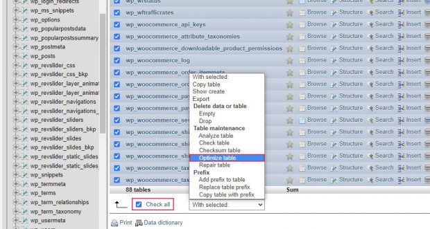 How to Optimize WordPress Database - Qode Interactive