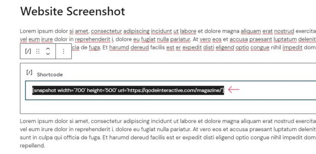How to Take Automatic Screenshots in WordPress - Qode Interactive