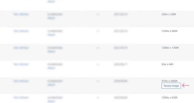 How to Bulk Resize Images in WordPress - Qode Interactive