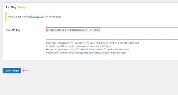 How to Optimize CSS Delivery in WordPress - Qode Interactive