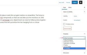 How to Hide the Header on Specific Pages in WordPress - Qode Interactive