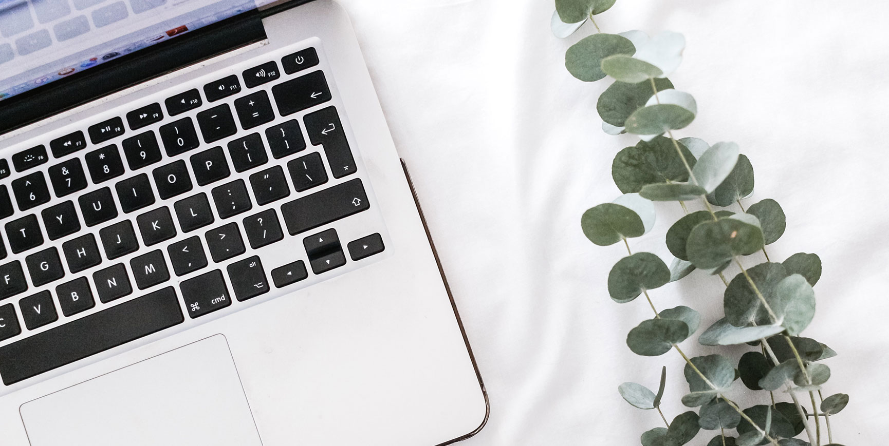 How to Fix the "Comments Are Closed" Message - Qode Interactive