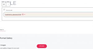 How to Add Autocomplete Search in WordPress - Qode Interactive