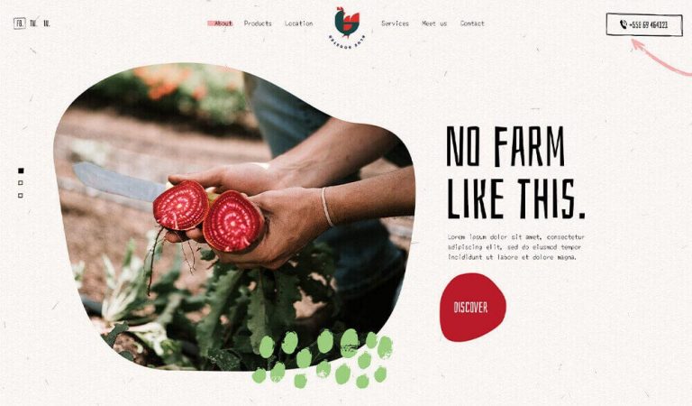 Qi Theme – A WordPress Theme with 150 Beautiful Demos