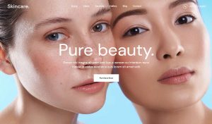 Qi Theme – A WordPress Theme with 150 Beautiful Demos